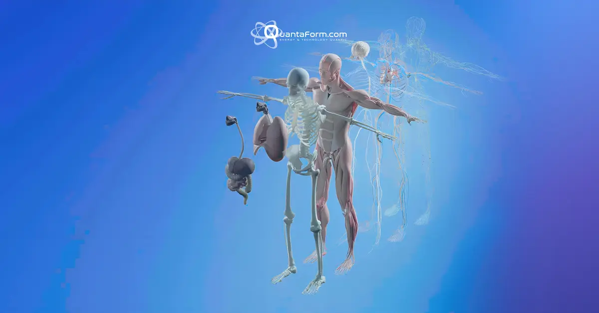 Appareils de biofeedback /biorésonance (Quantascan/LIFE System ...